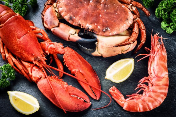 Is My Child Allergic to Shellfish? | Food Allergies Atlanta